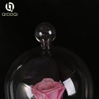 China Bottom Price Modern Professional round mini glass dome for sale