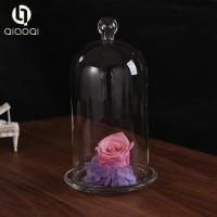 China Bottom Price Modern Professional round mini glass dome for sale