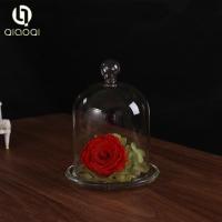 China Bottom Price Modern Professional round mini glass dome for sale
