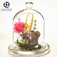 China Bottom Price Modern Professional round mini glass dome for sale