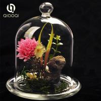 China Bottom Price Modern Professional round mini glass dome for sale