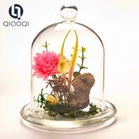 China Bottom Price Modern Professional round mini glass dome for sale