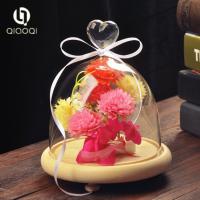 China Manufacturer Experience Classical Design decorative glass dome for christmas for sale