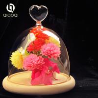 China Manufacturer Experience Classical Design decorative glass dome for christmas for sale