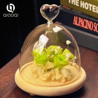 China Manufacturer Experience Classical Design decorative glass dome for christmas for sale