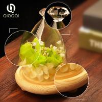 China China supplier manufacture Newest Design decoration clear glass dome for sale