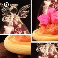 China Home Top Grade christmas glass dome ornament for sale
