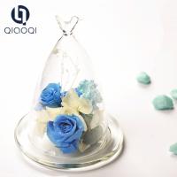 China Factory in hebei China Promotional borosilicate glass dome with base for sale