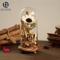 China China supplier manufacture Newest Design decoration clear glass dome for sale