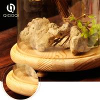 China China supplier manufacture Newest Design decoration clear glass dome for sale