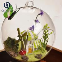 China Unique Clear round clear glass dome for sale