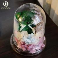 China Hot Sell Most Popular small glass dome with colorful base for sale