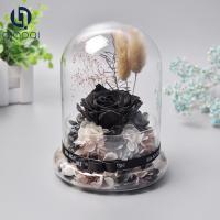 China Hot Sell Most Popular small glass dome with colorful base for sale