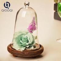 China Top Quality Special glass dome decoration for sale