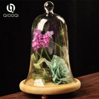 China Top Quality Special glass dome decoration for sale