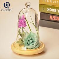 China Top Quality Special glass dome decoration for sale