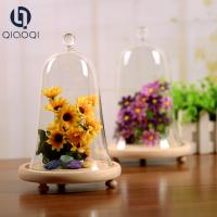 China Top Quality Special glass dome decoration for sale