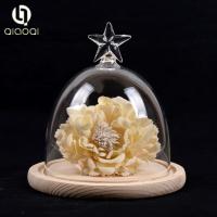 China Traditionally Crafted Made in China handmade clear decorative glass dome for sale