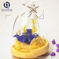 China Handblown Hot Chinese Product hanging decorative glass dome for sale