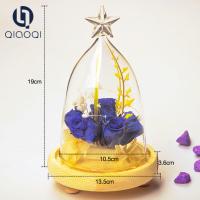 China Handblown Hot Chinese Product hanging decorative glass dome for sale