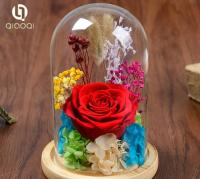 China Wedding Latest Fashion decorative round glass dome for sale
