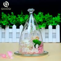 China Borosilicate Glass Heat Resistant Borosilicate transparent glass dome with glass base for sale