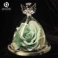 China Custom New Arrival glass dome with glass base for sale