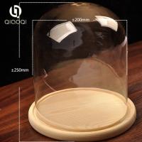 China New Wholesale Modern Professional glass dome various available for sale