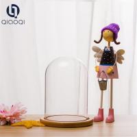China New Wholesale Modern Professional glass dome various available for sale