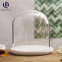 China New Wholesale Modern Professional glass dome various available for sale