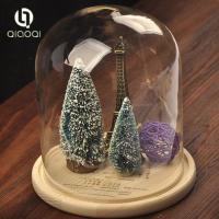 China New Wholesale Modern Professional glass dome various available for sale