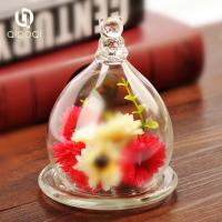 China OEM Competitive glass dome for home decoration for sale