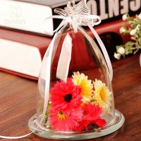 China First Choice Hebei Factory small clear glass dome for sale