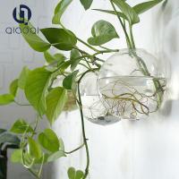 China Borosilicate flower glass vase hanging on the wall for sale