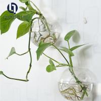 China Borosilicate flower glass vase hanging on the wall for sale