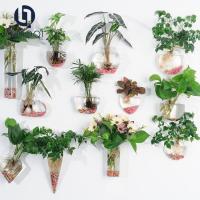 China Borosilicate flower glass vase hanging on the wall for sale