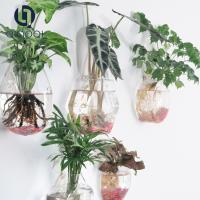 China Borosilicate flower glass vase hanging on the wall for sale