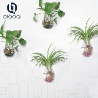 China Creative Wall Hanging European Hydroponic Glass Vase for sale