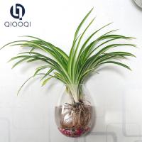 China Creative Wall Hanging European Hydroponic Glass Vase for sale
