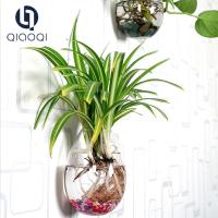 China Creative Wall Hanging European Hydroponic Glass Vase for sale