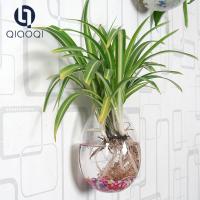 China Creative Wall Hanging European Hydroponic Glass Vase for sale