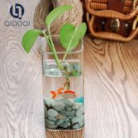 China Different Types Hanging Flower Glass Vase for sale