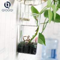 China Different Types Hanging Flower Glass Vase for sale