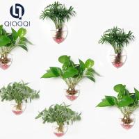 China Hot Sell Flower Small Glass Vase Low Price for sale