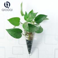 China flower glass vase for home decoration for sale