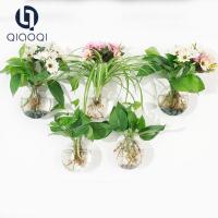 China clear flower vase cylinder glass hanging vases for sale