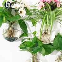 China clear flower vase cylinder glass hanging vases for sale