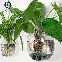China clear flower vase cylinder glass hanging vases for sale
