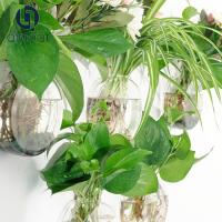 China clear flower vase cylinder glass hanging vases for sale