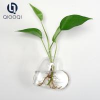 China Glass vase for flowers home decor on the wall for sale